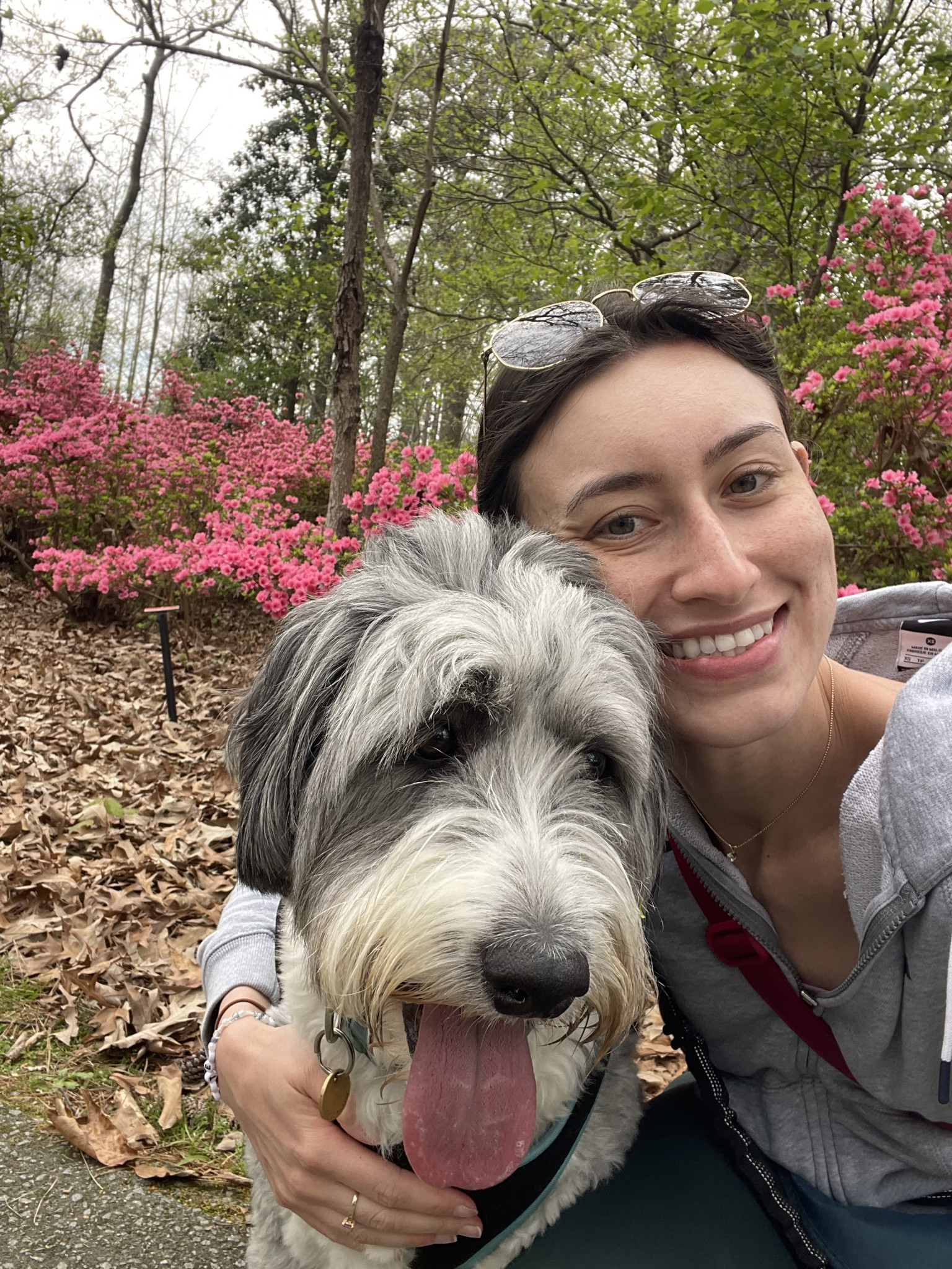 America's Favorite Teacher